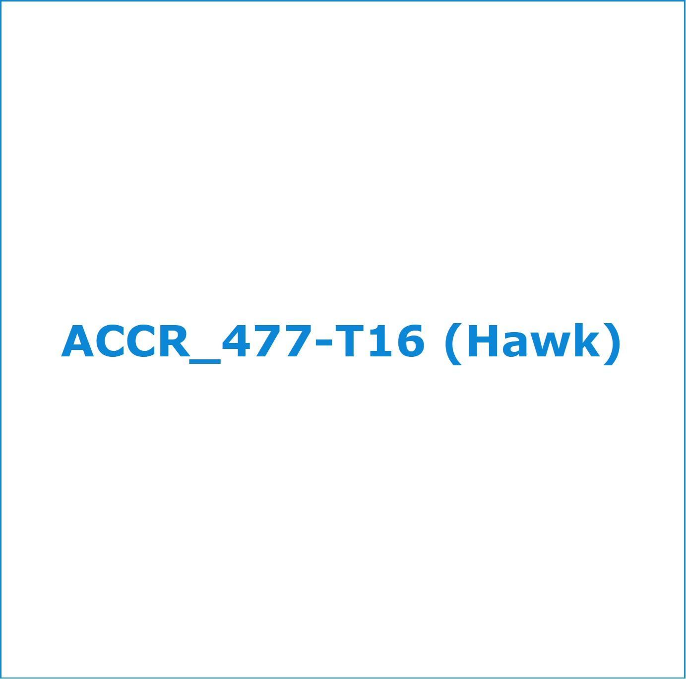 ACCR_477-T16 (Hawk) | Proyectos de Ingeniería